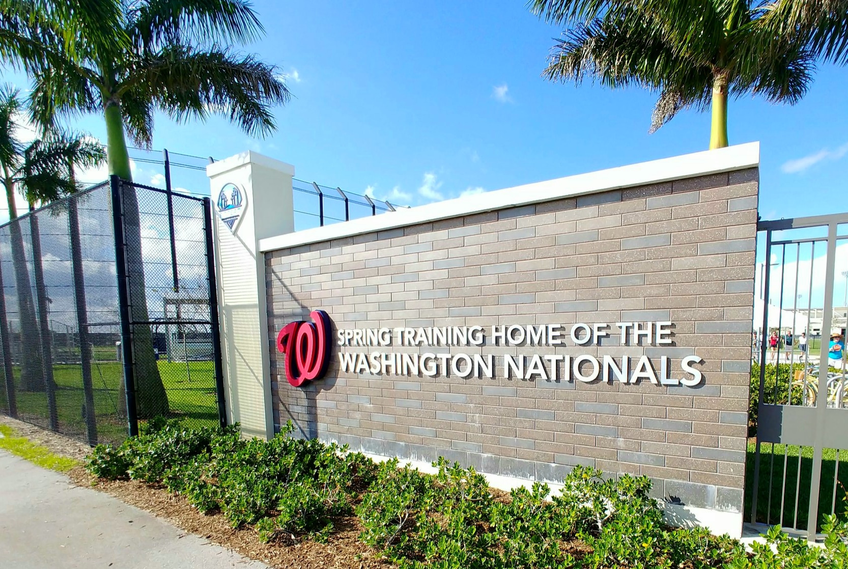 Reading the tea leaves of early Nats spring training camp! | TalkNats.com